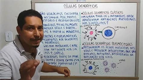 Todo Lo Que Necesitas Saber Sobre El Polipéptido Estructura Función Y