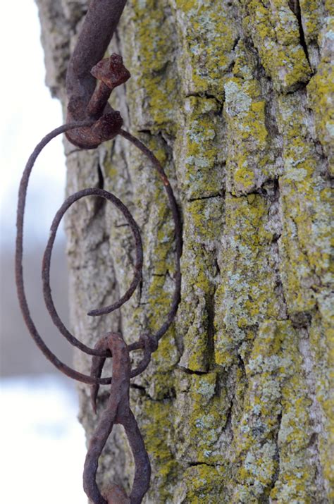 Dsc 2962 Brandy Keen Flickr