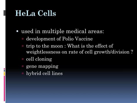 Ppt Regulating The Cell Cycle Powerpoint Presentation Free Download
