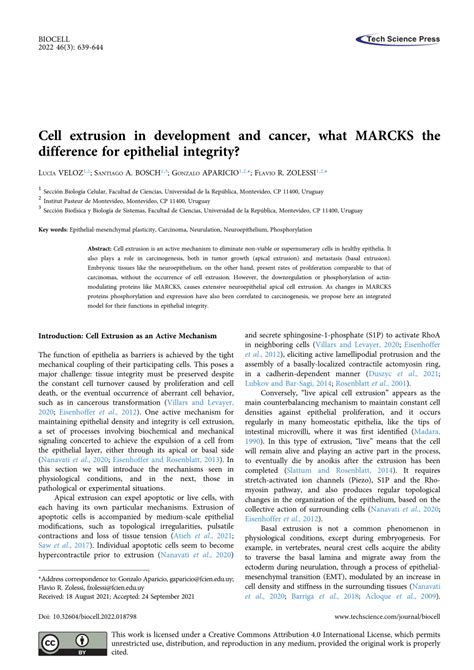 Pdf Cell Extrusion In Development And Cancer What Marcks The