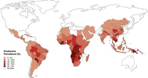Infection Landscapes Hookworm