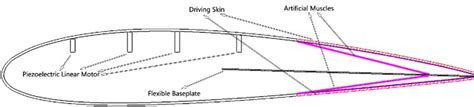 Preliminary Airfoil Design Of An Innovative Adaptive Variable Camber Compliant Wing Extrica