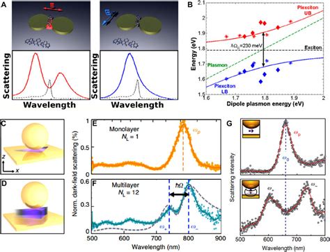 Strong Coupling And Rabi Splitting In Nanogaps A And B Strong