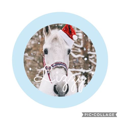 Profile Pic For Lizzy Profile