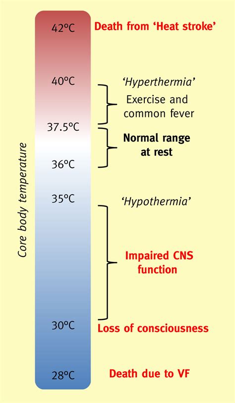 Body Temperature And Its Regulation Anaesthesia And Intensive Care Medicine