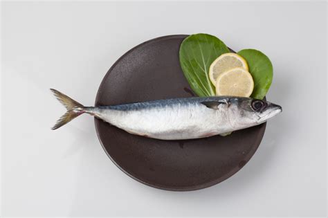 흰살 생선 붉은살 생선의 차이점 생선마다 다른 효능과 영양소가 네이버 블로그