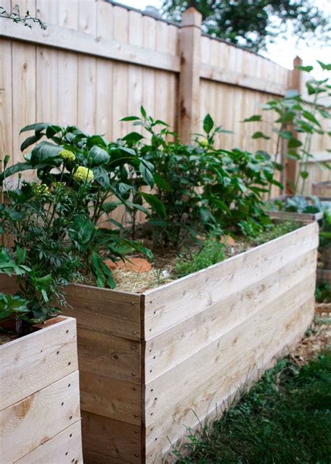 Diy Cedar Raised Garden Beds How To Build Raised Bed Boxes Create
