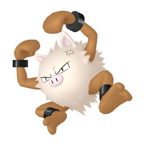 Primeape Evolution Chart