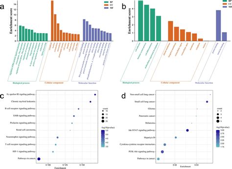 Analysis Of Go And Kegg A Go Analysis Histogram Of Dasgs B Go