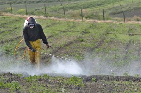 Consecuencias De Una Excesiva Utilización De Agroquímicos En Los