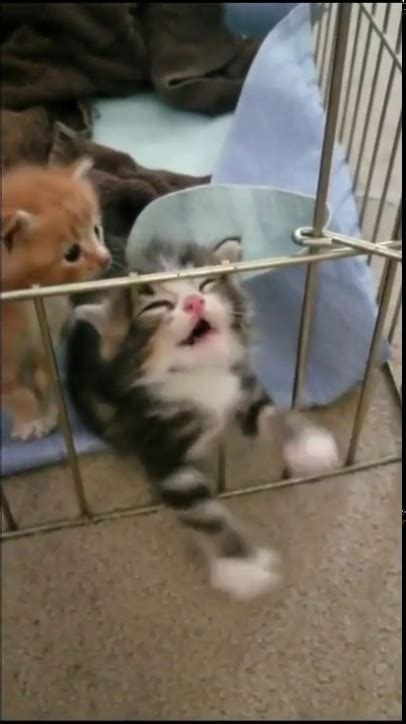 Release Me At Once” Tumbex