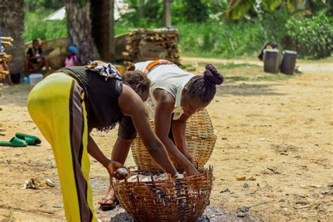 Equip Nigerian Women With Cassava Processing Tools Globalgiving