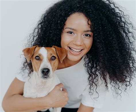 Flor Áster Conheça A Flor Da Simplicidade Blog Da Cobasi