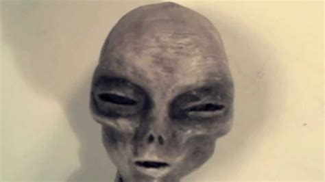 Alien Grey Skull Head Recovered From Roswell Ufo Flying Saucer Crash