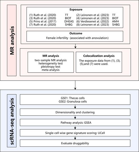 Causality And Potential Drug Targets For Hyperandrogenism And