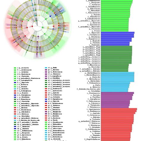 A Cladogram Indicating The Phylogenetic Distribution Of Microbial
