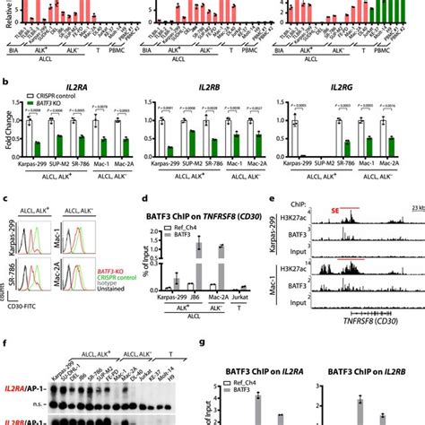 Chalid Assaf Director Prof Dr Med Md Phd Helios Klinikum Krefeld Krefeld Klinik