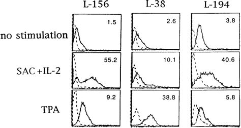 Upregulation Of Cd6 Expression On B Cll Cells By Activation With Sac