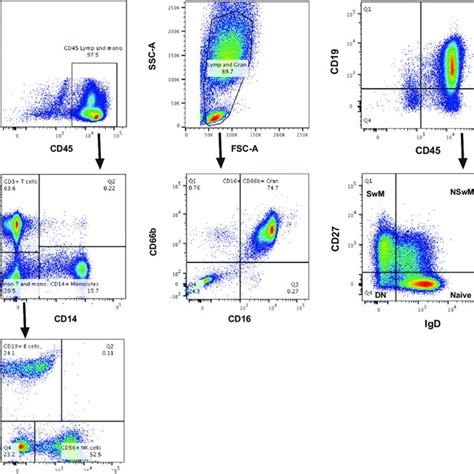 Gating Strategies A T Cells Cd45 Cd3 Cd14− Monocytes Download Scientific Diagram