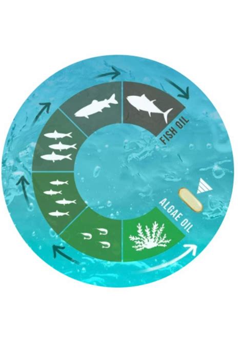 Guangdong Runke Bioengineering Co Ltd On Linkedin Brainhealth Dha