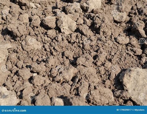 Clay Soil
