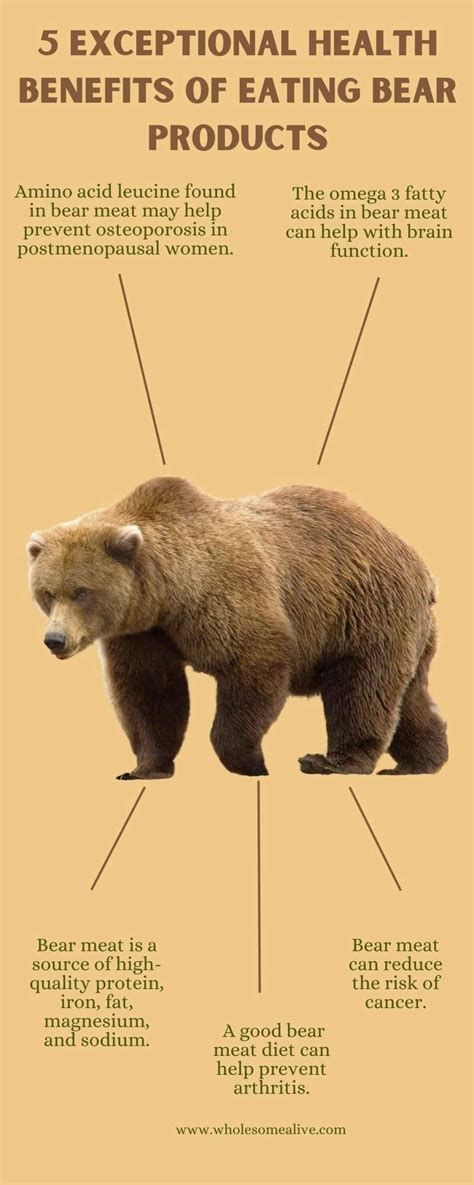 What Does Bear Taste Like Lets Find Out