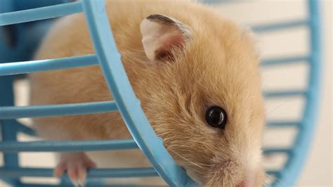 Exploit Conditions In Ot Vulnerability Prioritization Frenos