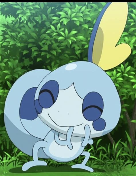 816 Sobble Screenshot Cute Pokemon Pokemon All Pokemon