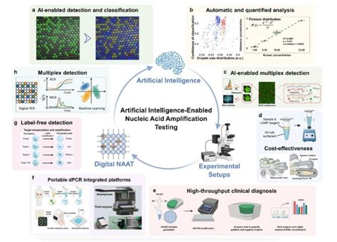 Cbirt Centre Of Bioinformatics Research And Tech On Linkedin Bioinformatics Digitalpcr Dnaat