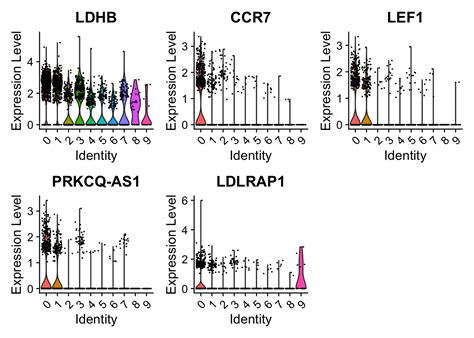 Rna Sequence Analysis Example 4