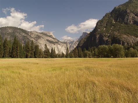 4000 Free Temperate Grassland And Grassland Images Pixabay