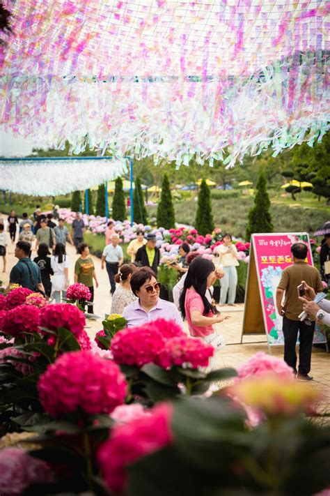 2023 강진수국길 축제 성료