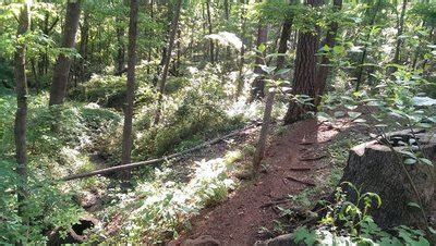 Hiking Trails Near Tyler State Park