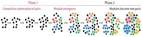 A Generic Biphasic Model Of Module Creation Illustrates The Emergence Download Scientific