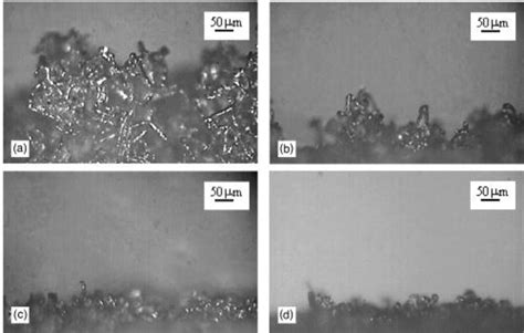 Lithium Dendrite