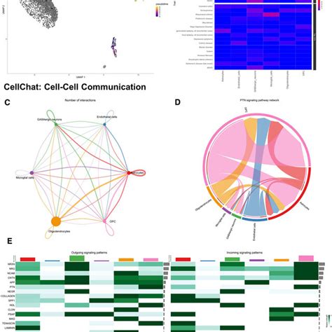 Additional Gene Network Analysis Tools Available In Icarus V20 Single