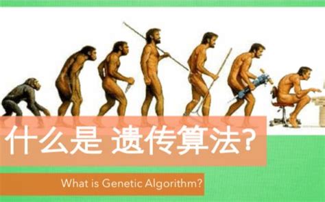 什么是遗传算法 What Is Genetic Algorithm哔哩哔哩bilibili