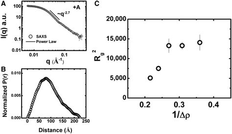 Saxs Analysis Of A Rnps A Representative Saxs Data From A Black