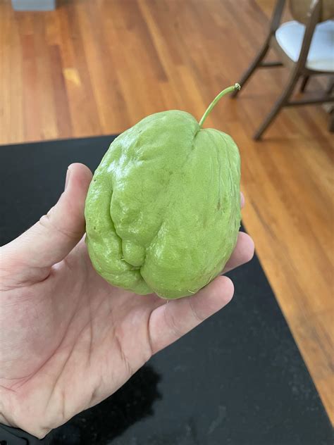 Is Chayote Poisonous
