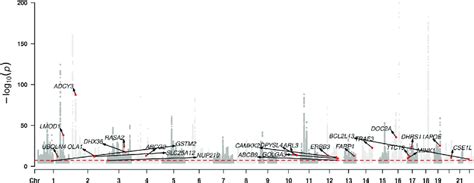 Identification Of Brain Proteins Associated With The Body Mass Index