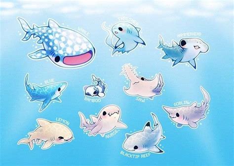 Cute Shark Drawing Croissant Sharks