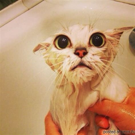 Stream Teajay Alyx Music Listen To Songs Albums Playlists For Free On Soundcloud