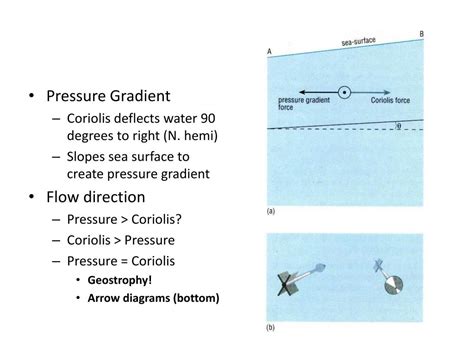 Ppt Physical Oceanography Powerpoint Presentation Free Download Id