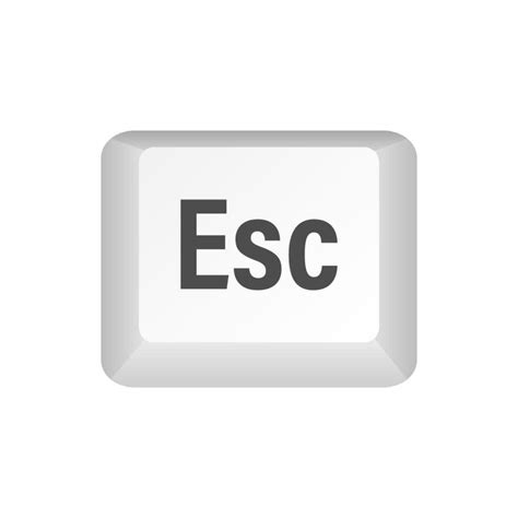 Esc Computadora Teclado Botones Escritorio Interfaz Web Icono Vector Valores Ilustración