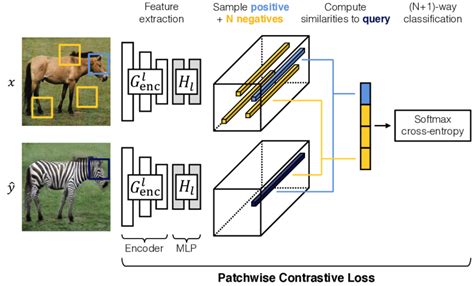 patchwise contrastive loss both images x andˆyandˆ andˆy are encoded