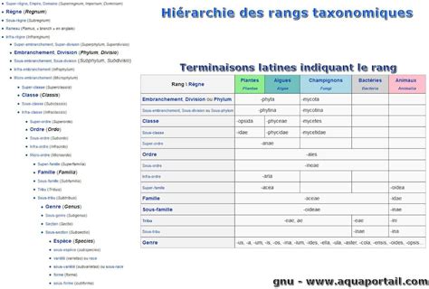 Cf Définition Et Explications