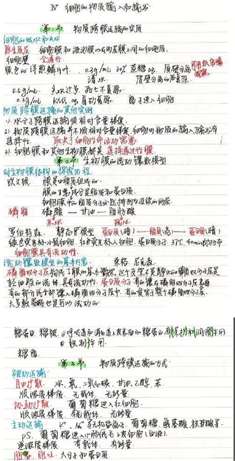 衡中学霸高中生物手写笔记，高清无码！ 电子版 同学 免费 新浪新闻