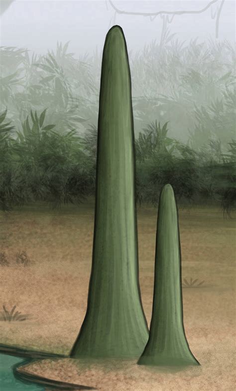 Prototaxites By Louisetheanimator On Deviantart