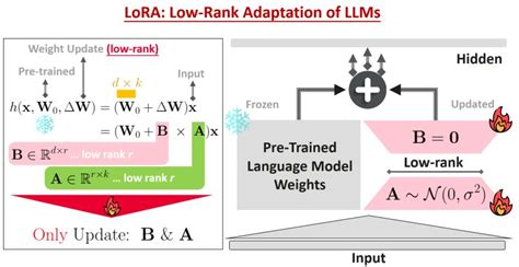 Lora Has Become An Important Method To Fine Tune Your Llms In A Low Rank And Efficient Manner