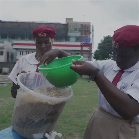 Abigail B Boison Posted On Linkedin